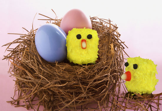 Easter Chicks | CANDIQUIK