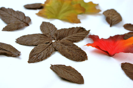 Chocolate Leaves | CANDIQUIK