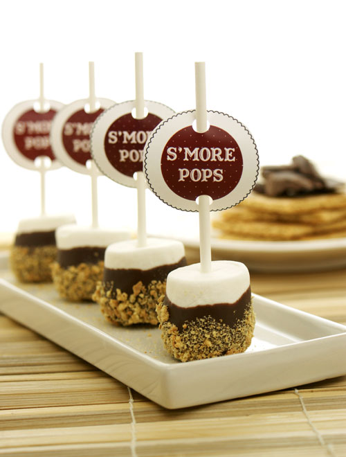 S’more Pops | CANDIQUIK